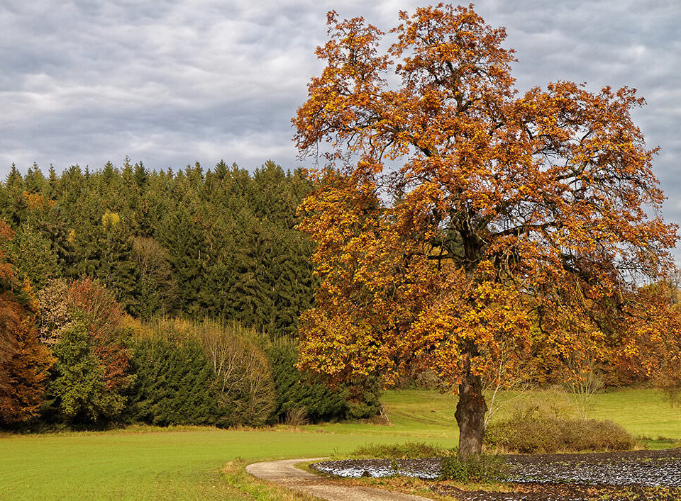 Blog - HOLZ-BARAN GmbH